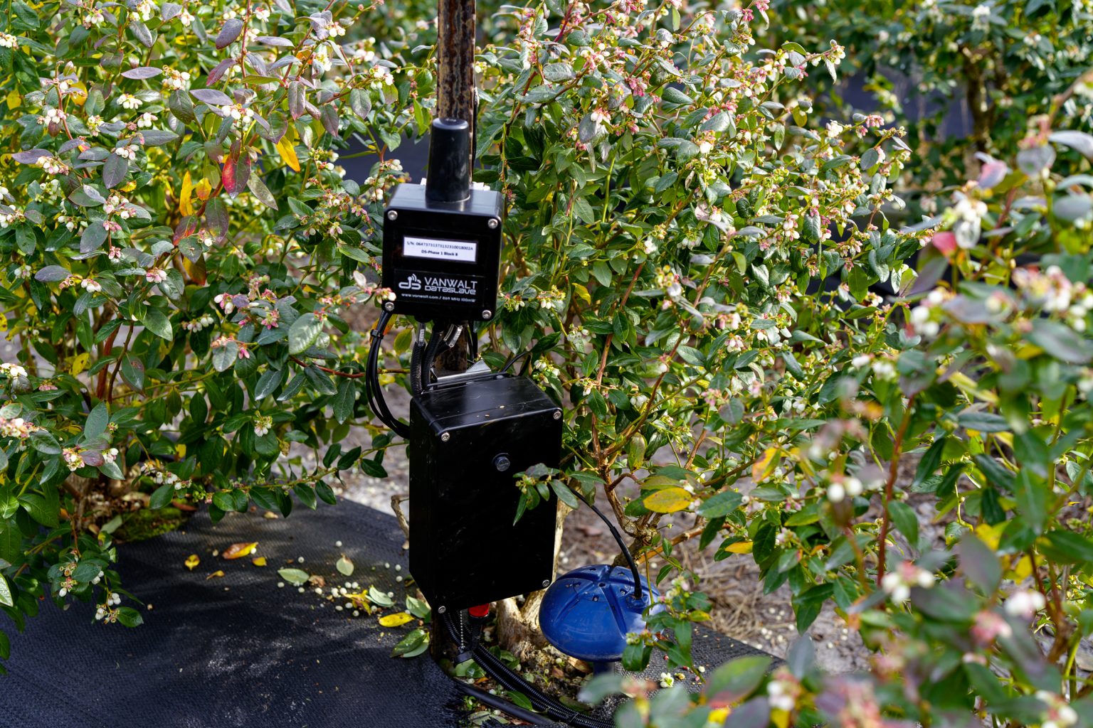 Spot measurement v. continuous environmental monitoring | Van Walt